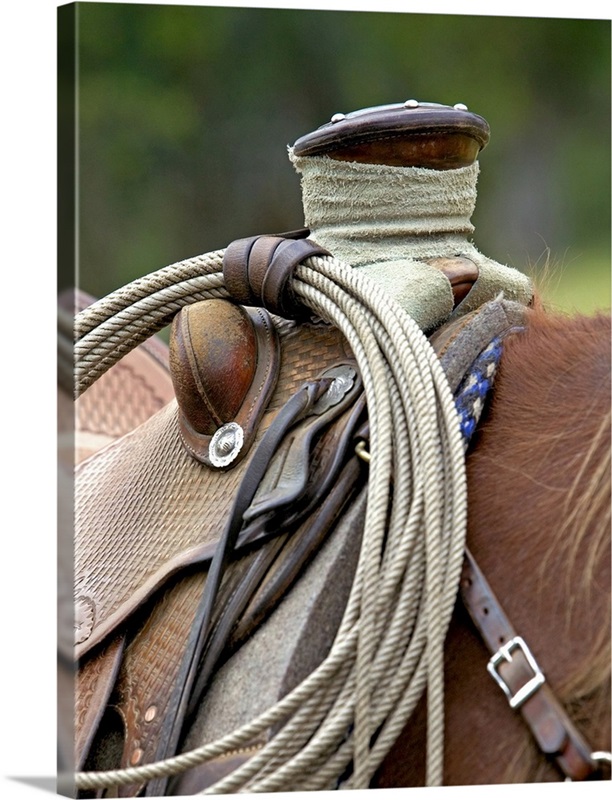 Western Horse | Great Big Canvas
