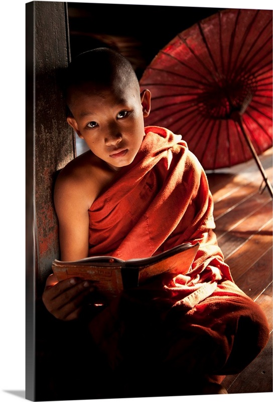 Young monk boy reading in his monastery, Yangon, Burma | Great Big Canvas