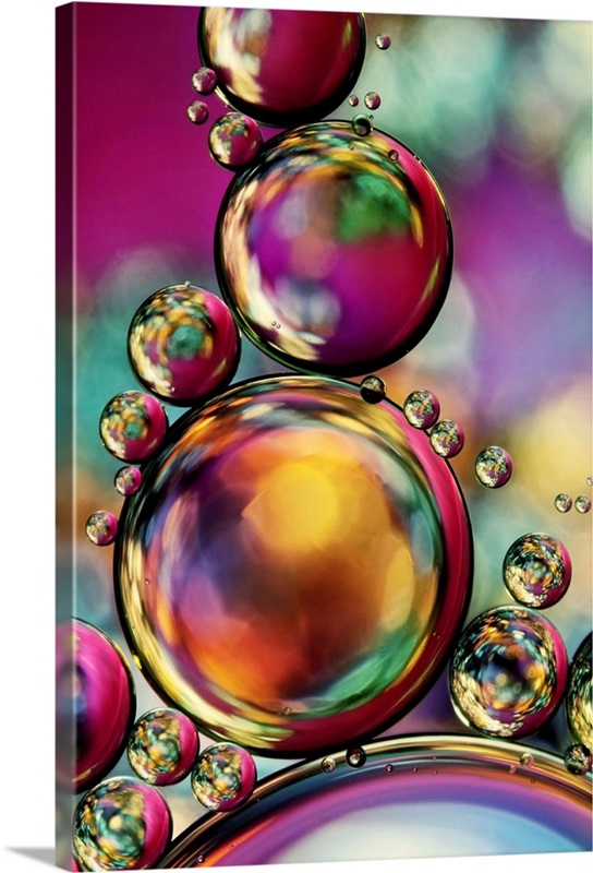 Explosion of Colour | Great Big Canvas