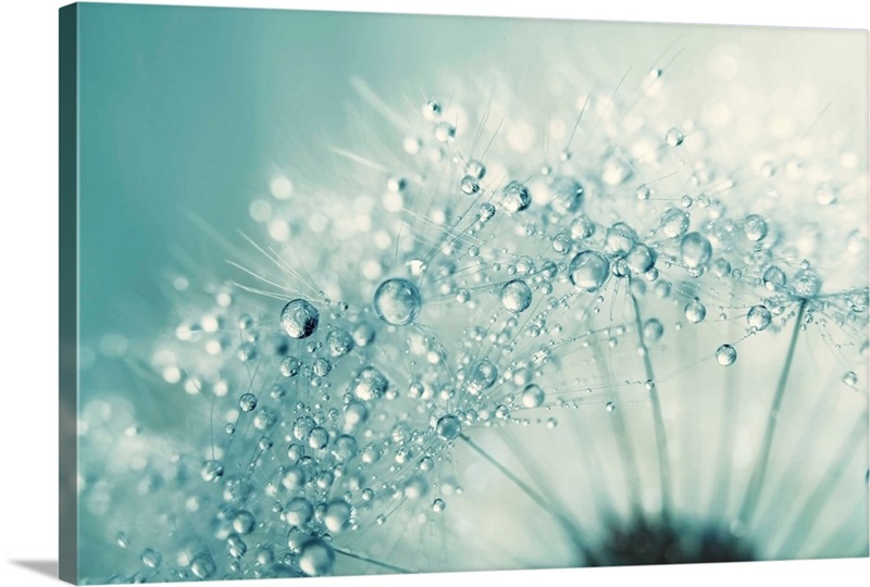 Fine and Dandy | Great Big Canvas