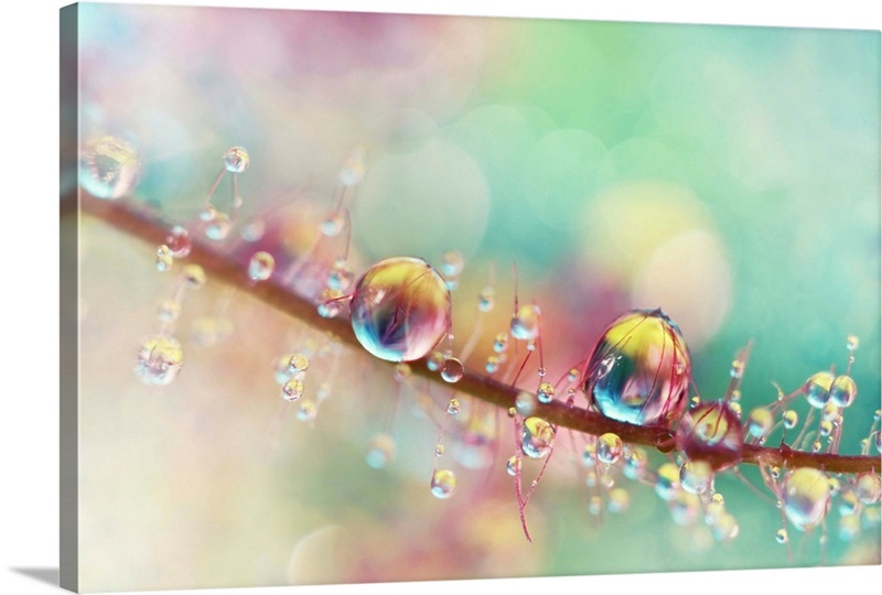 Rainbow Smoke Drops | Great Big Canvas