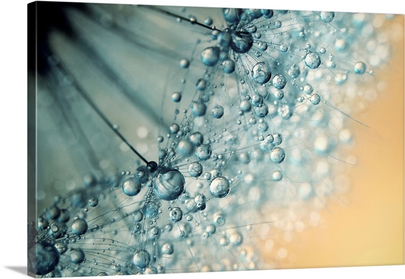 Sand & Seafoam Dandy | Great Big Canvas