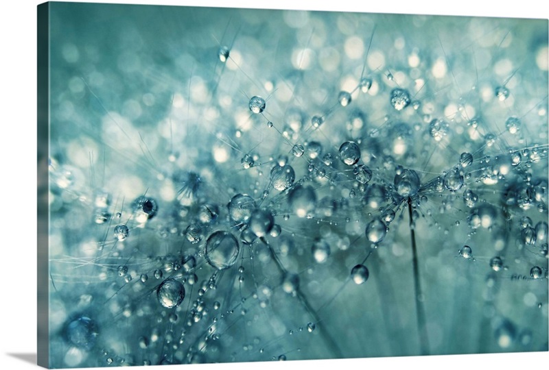 Twinkle in Blue | Great Big Canvas