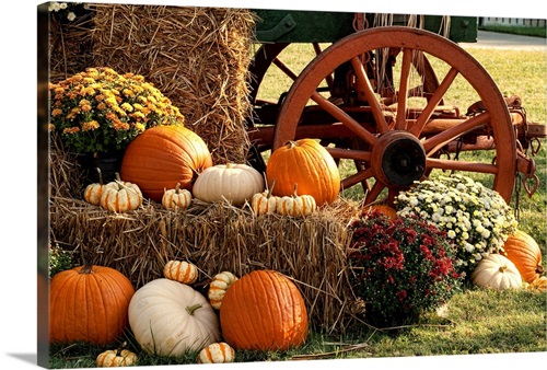 Autumn Pumpkins and Mum Display | Great Big Canvas