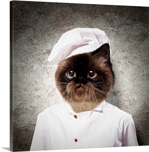Cat Chef | Great Big Canvas
