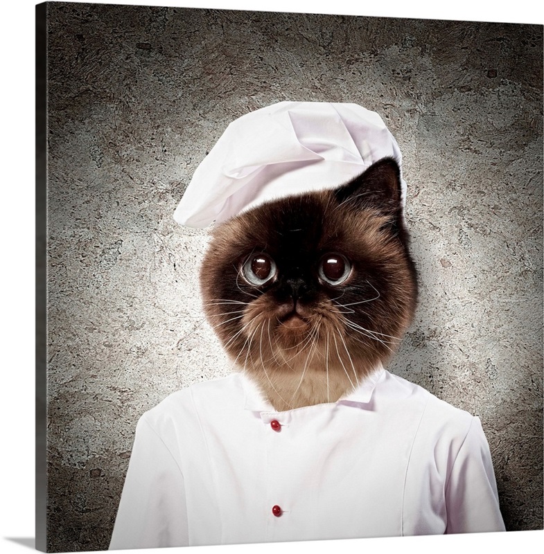Cat Chef | Great Big Canvas