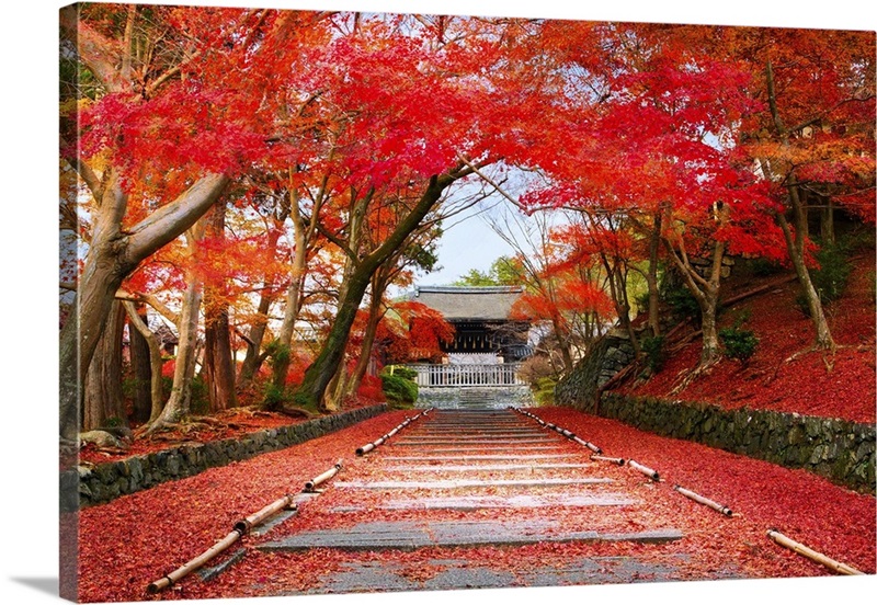 Entrance Of The Temple Bishamon-Do Covered With Red Autumn Leaves ...