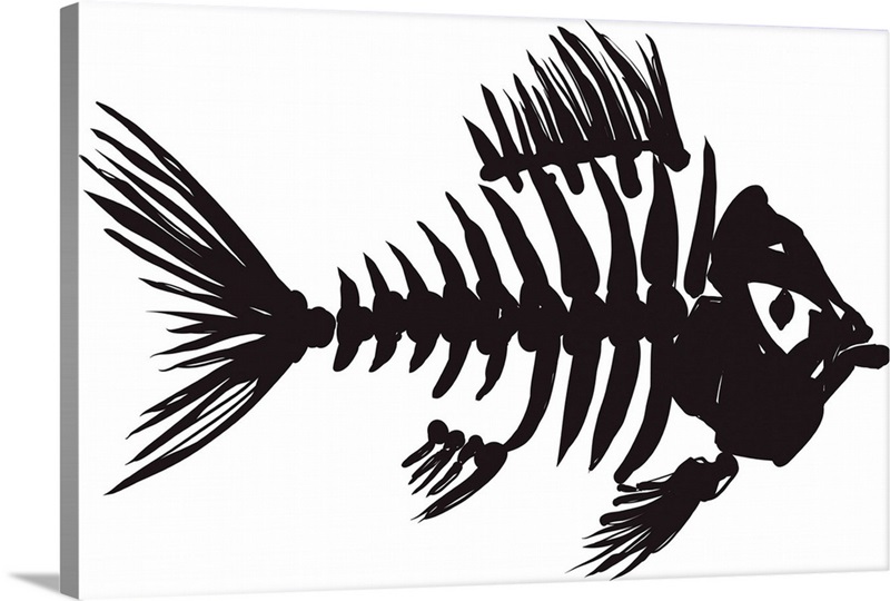 Fishbones | Great Big Canvas