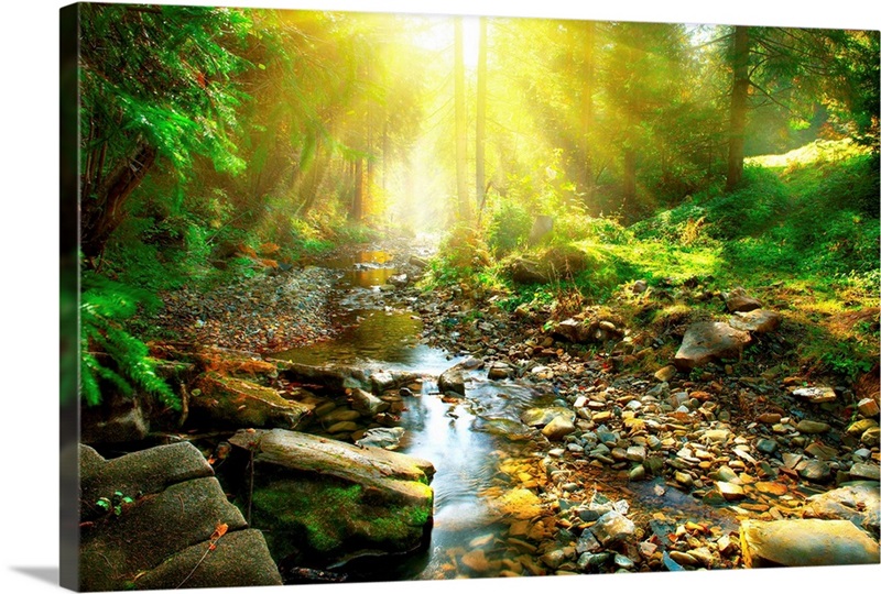 Mountain River with, forest landscape | Great Big Canvas