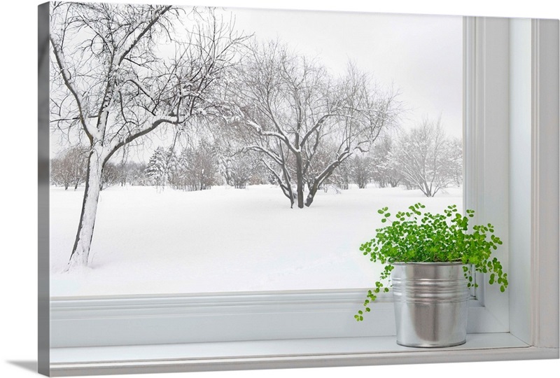 Winter Landscape Seen Through The Window With A Green Plant | Great Big ...