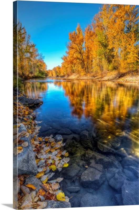 Glide Along | Great Big Canvas