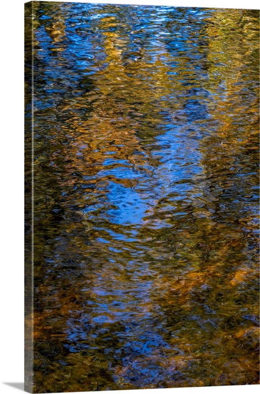 River Reflection | Great Big Canvas