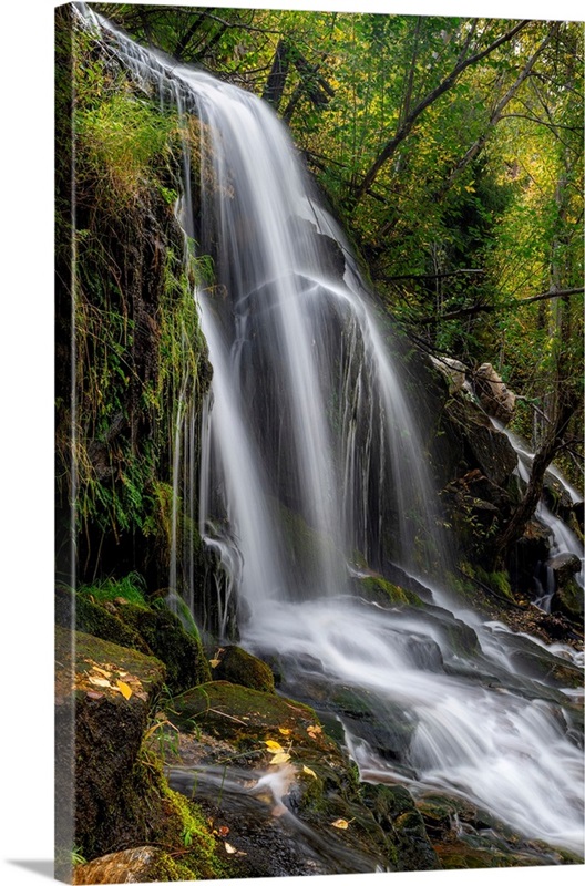 Shivers | Great Big Canvas