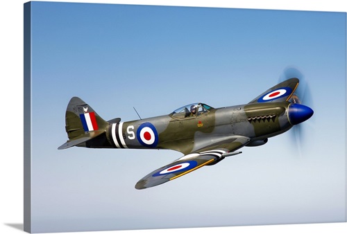 A Supermarine Spitfire Mk 18 in flight | Great Big Canvas