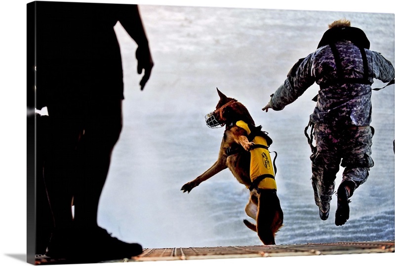 A U.S. Soldier and his military working dog jump off the ramp of a CH ...