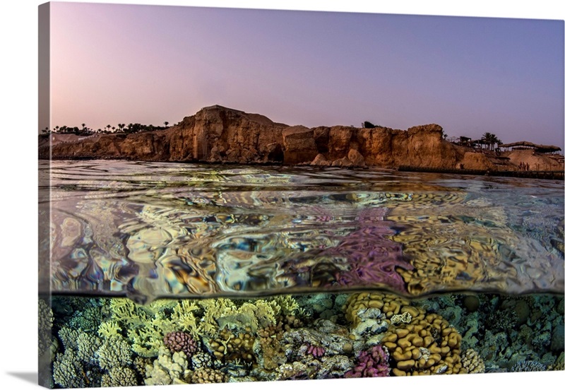 An Over Under Split In The Red Sea Wall Art, Canvas Prints, Framed ...