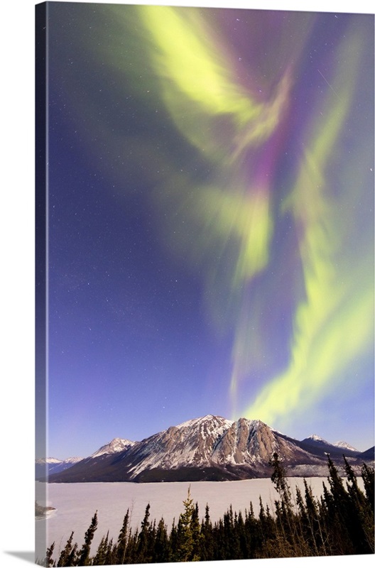 Aurora Borealis, Fish Lake, Whitehorse, Yukon, Canada | Great Big Canvas