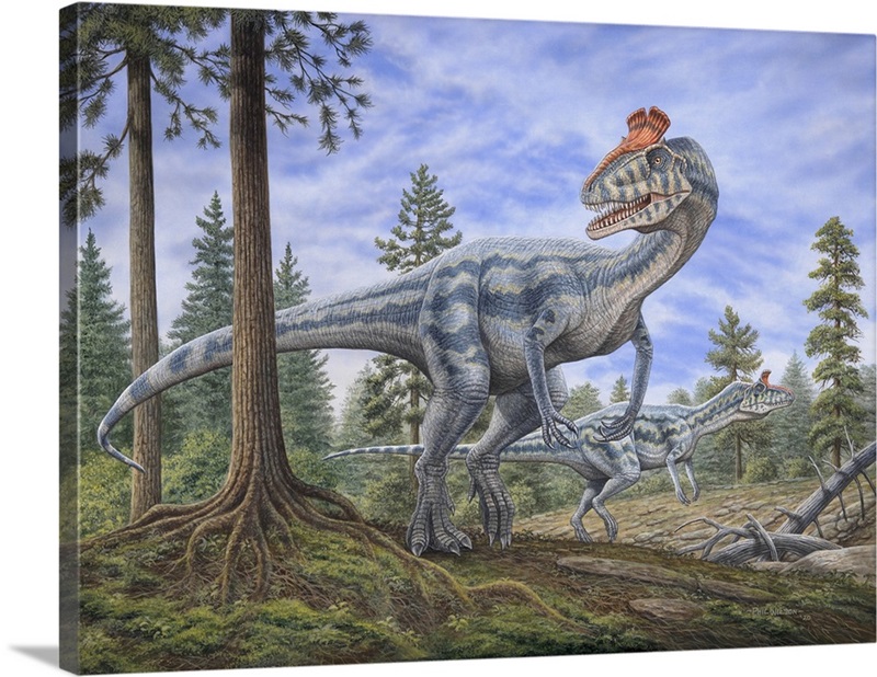 Cryolophosaurus Dinosaurs Hunting For Prey In A Prehistoric Environment ...