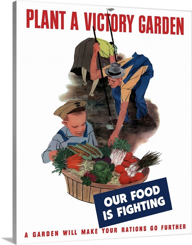 Digitally restored vector war propaganda poster. Plant a victory garden ...
