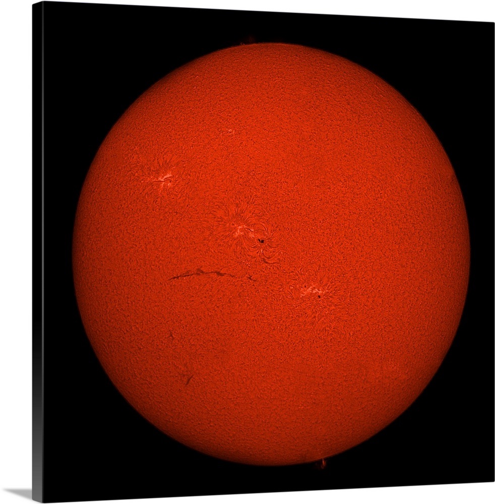 H alpha full Sun in red color with active areas and filaments Wall Art ...