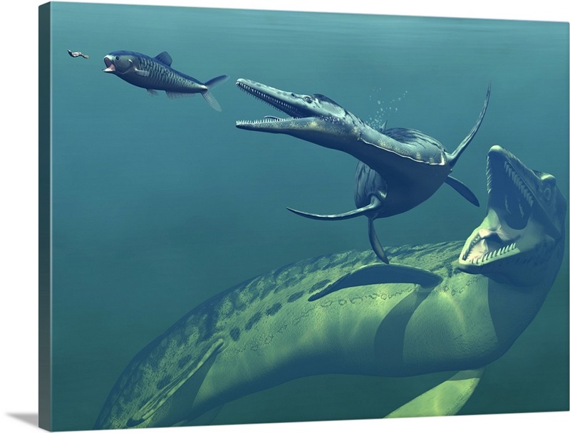 Marine predators of the Cretaceous period | Great Big Canvas