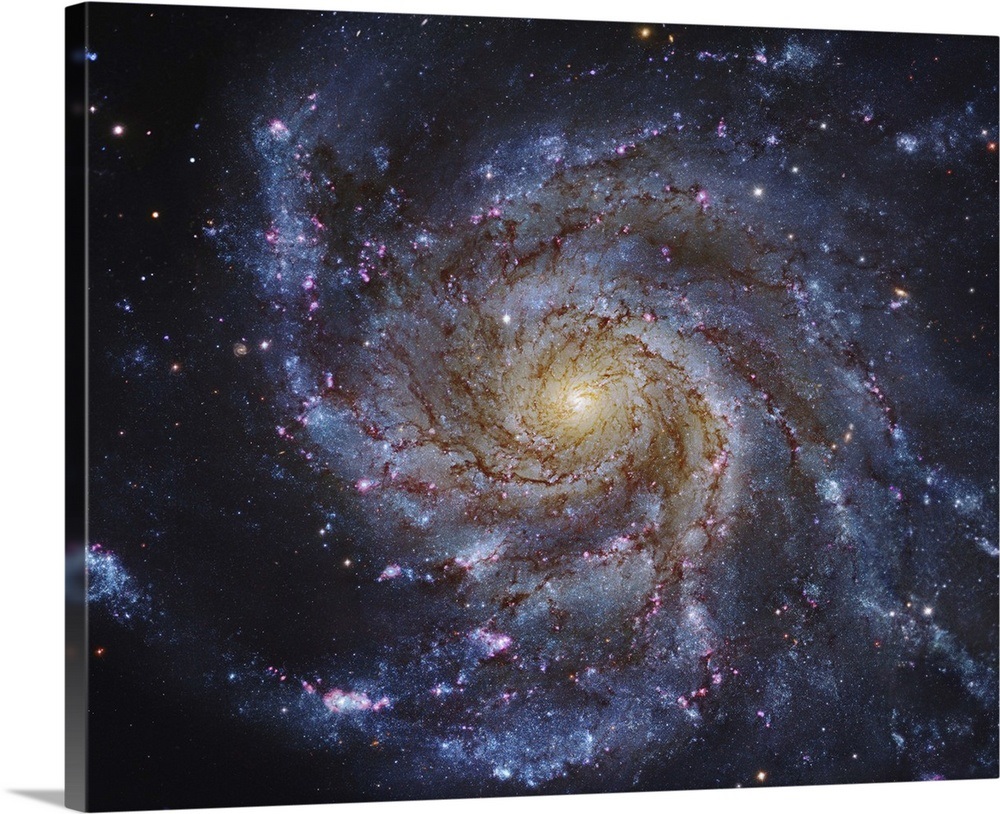 Messier 101, The Pinwheel Galaxy in Ursa Major Wall Art, Canvas Prints ...