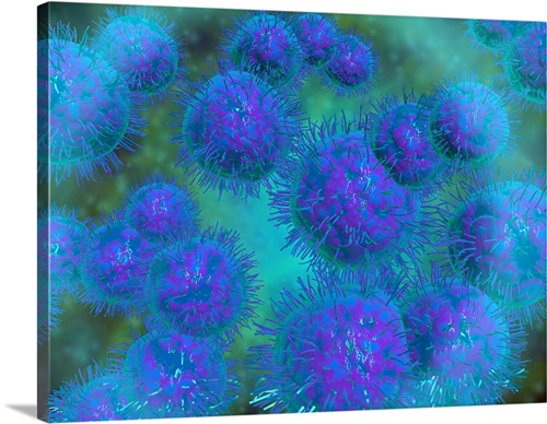 Microscopic view of diplococcus bacterium | Great Big Canvas