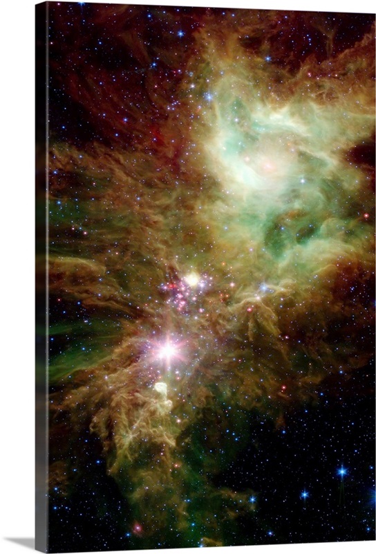Newborn stars in the Christmas Tree cluster | Great Big Canvas