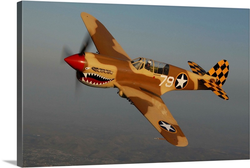P-40 Warhawk flying over Chino, California | Great Big Canvas