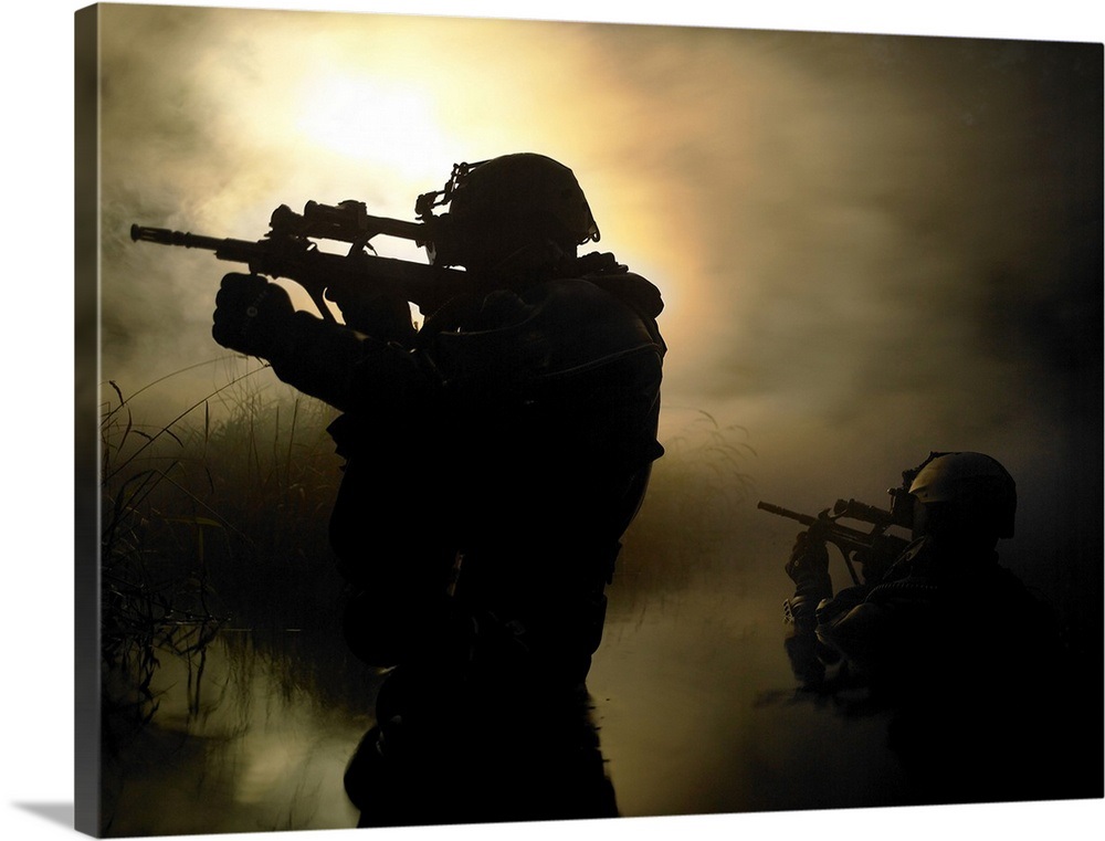 Special operation forces combat divers armed with Steyr AUG assault ...