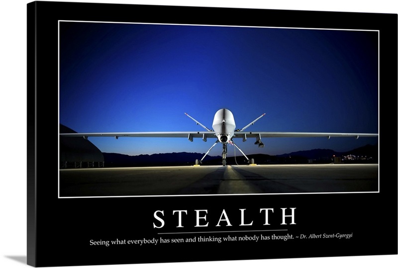 Stealth: Inspirational Quote and Motivational Poster | Great Big Canvas