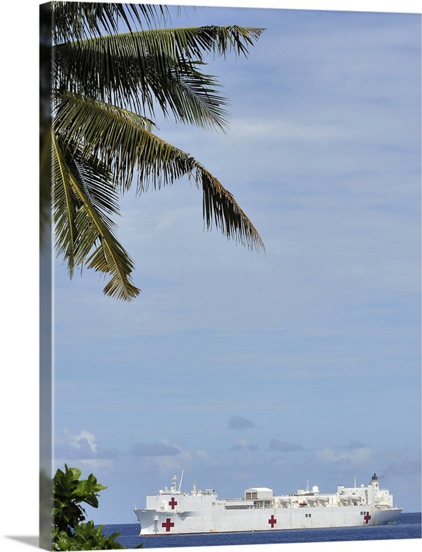 The Military Sealift Command hospital ship USNS Mercy | Great Big Canvas