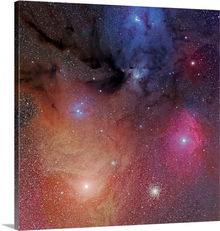 The starforming region of Rho Ophiuchus | Great Big Canvas