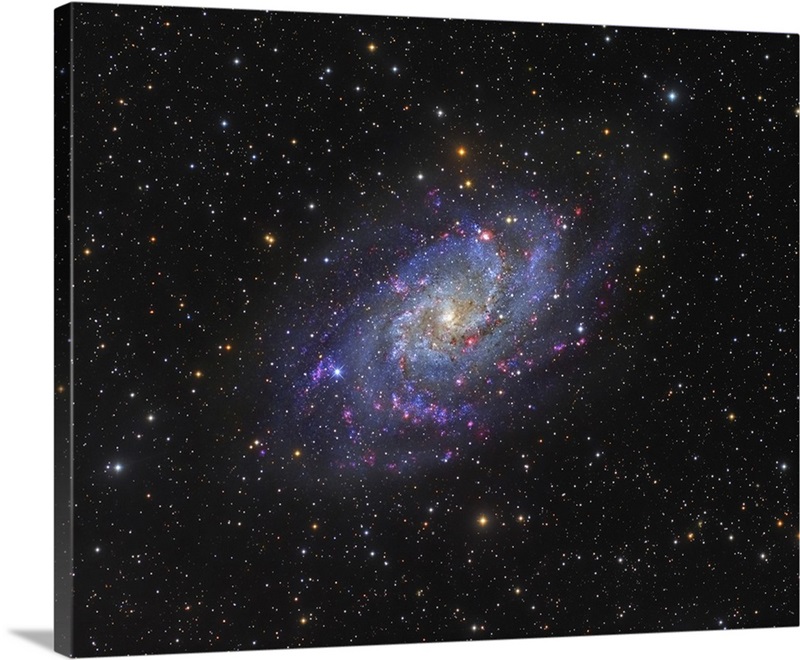 The Triangulum Galaxy | Great Big Canvas