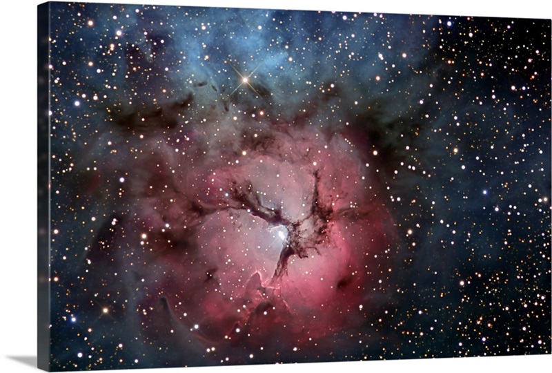 The Trifid Nebula | Great Big Canvas