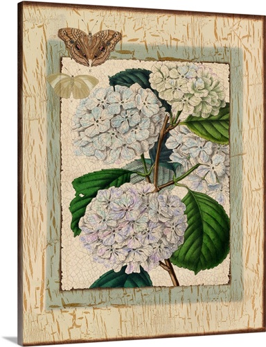 Shabby Chic Hydrangea Wall Art, Canvas Prints, Framed Prints, Wall ...