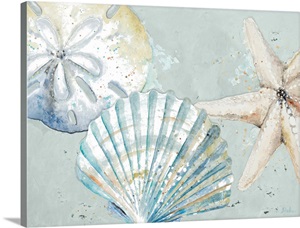 Beach Shells Wall Art, Canvas Prints, Framed Prints, Wall Peels | Great ...