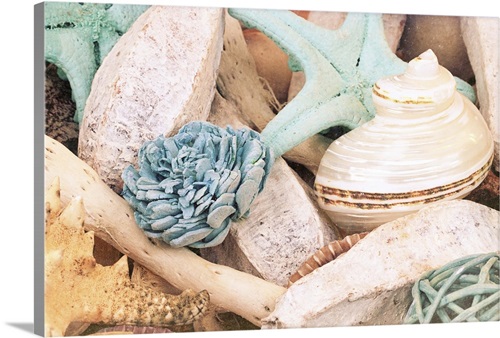 Bundle of Shells II | Great Big Canvas