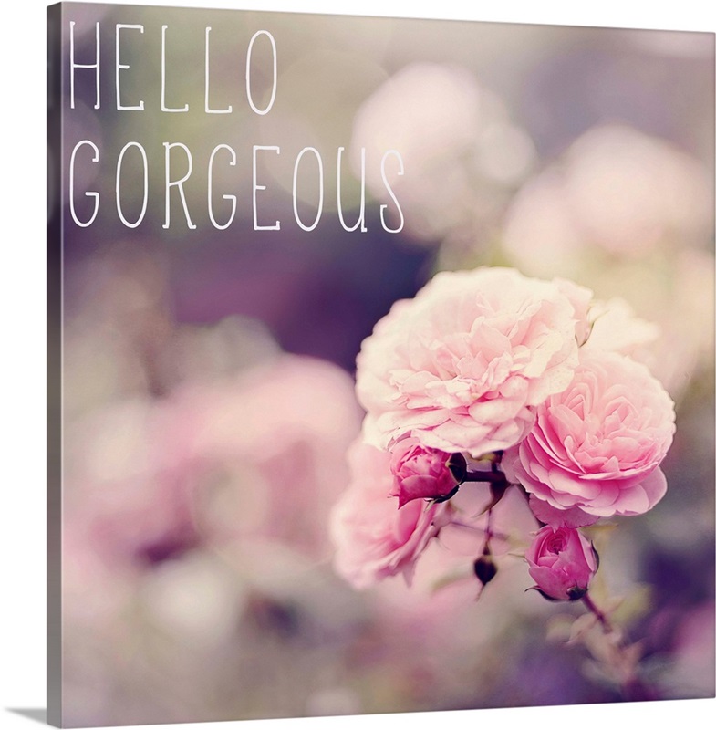 Hello Gorgeous | Great Big Canvas