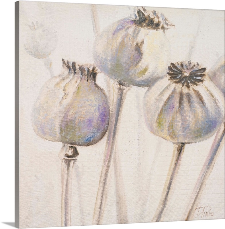 Poppy Seeds I | Great Big Canvas