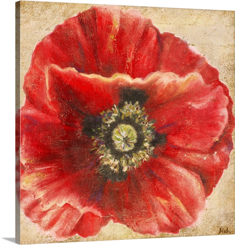 Red Poppy on Gold (without stem) | Great Big Canvas