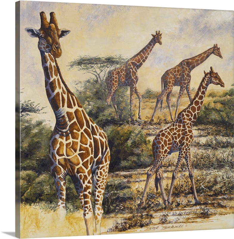 Safari III | Great Big Canvas