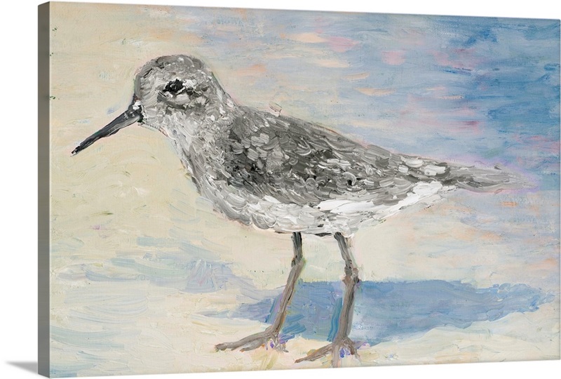 Sandpiper II | Great Big Canvas