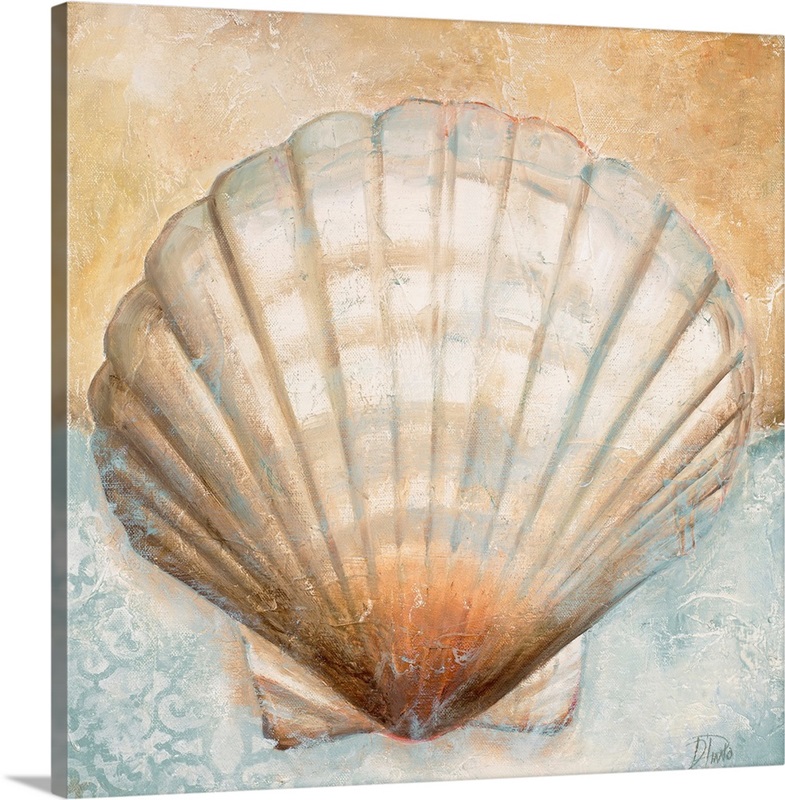 Seashell Collection III | Great Big Canvas