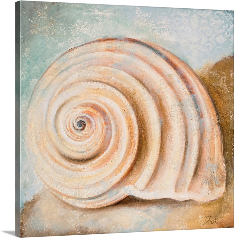 Seashell Collection IV | Great Big Canvas