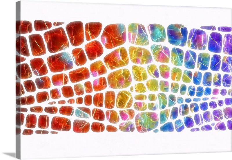Magic Dragon Scales Wall Art, Canvas Prints, Framed Prints, Wall Peels ...