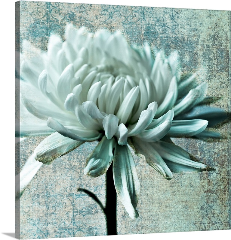 Chrysanthemum Texture | Great Big Canvas