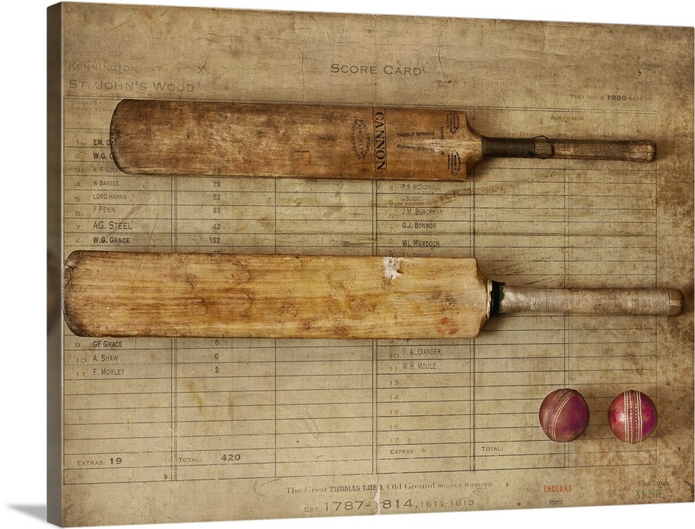 Cricket Wall Art, Canvas Prints, Framed Prints, Wall Peels | Great Big ...