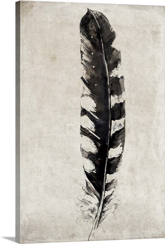 Feather | Great Big Canvas