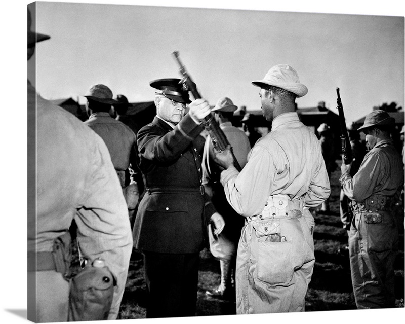 Benjamin O. Davis, Sr. Wall Art, Canvas Prints, Framed Prints, Wall ...